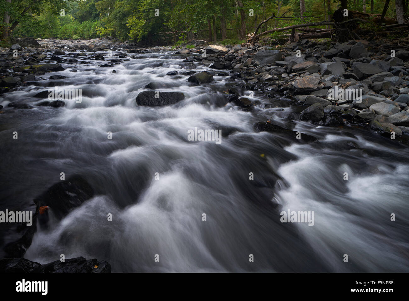 The little savage hi-res stock photography and images - Alamy