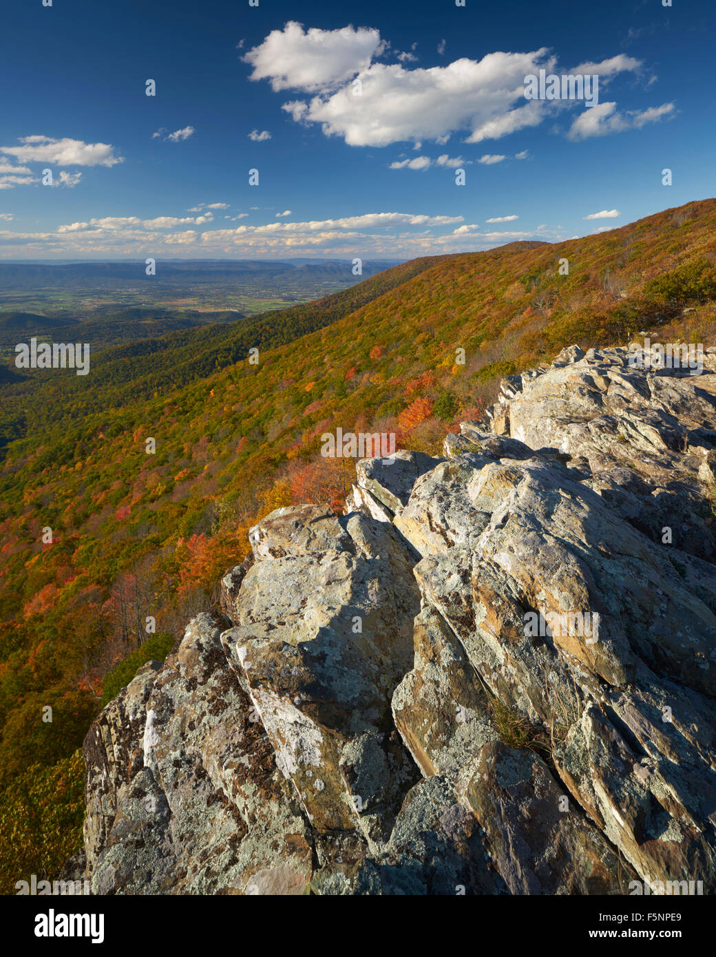 Autumn view from Crescent Rock Overlook in Shenandoah National Park ...