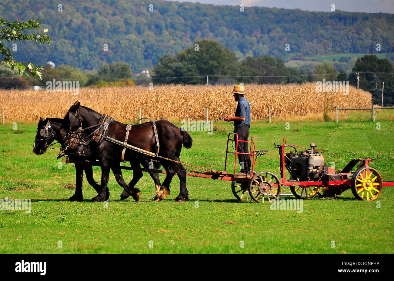 Amish Farming Methods