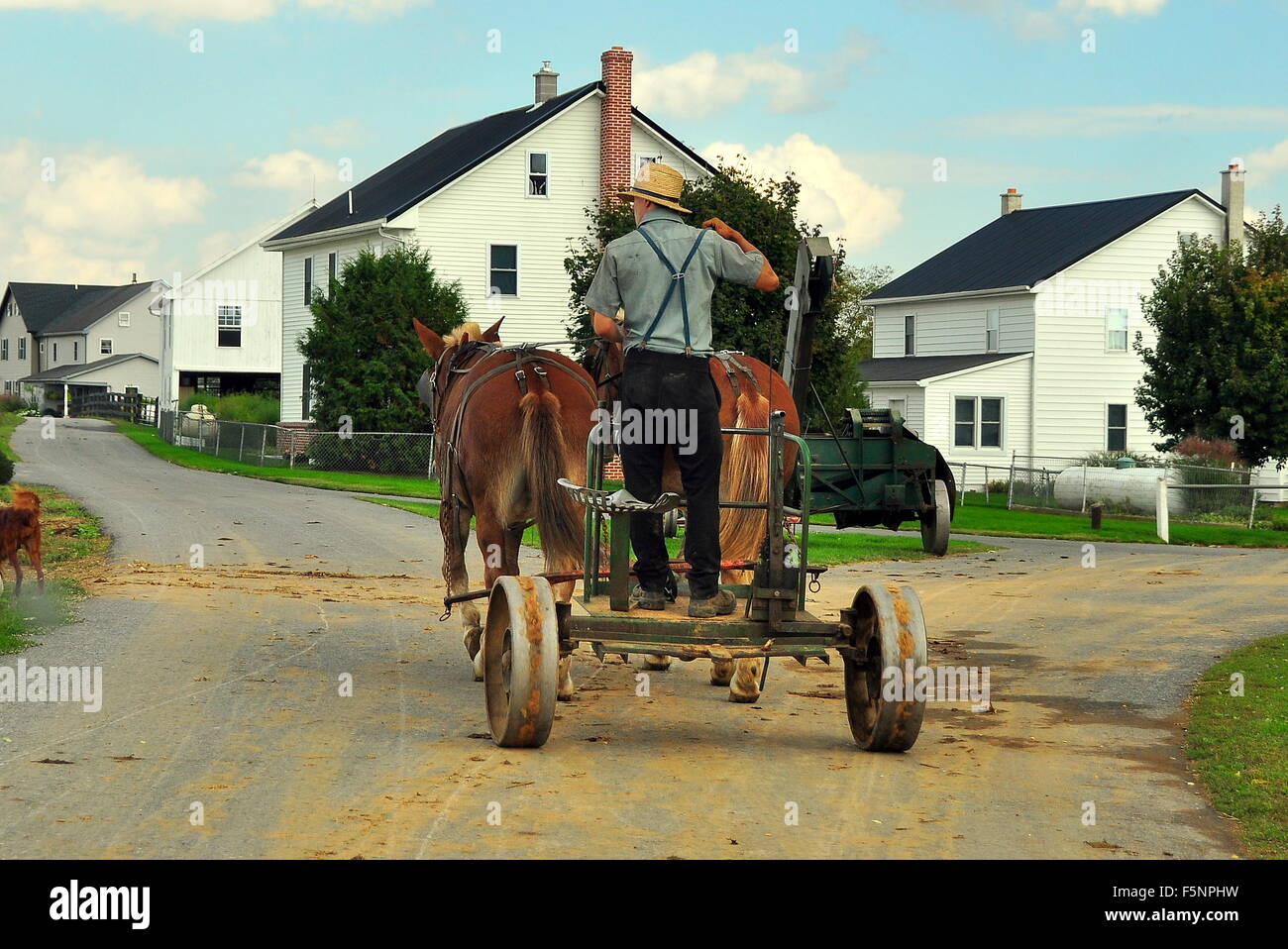 Amish farmer hi-res stock photography and images - Alamy