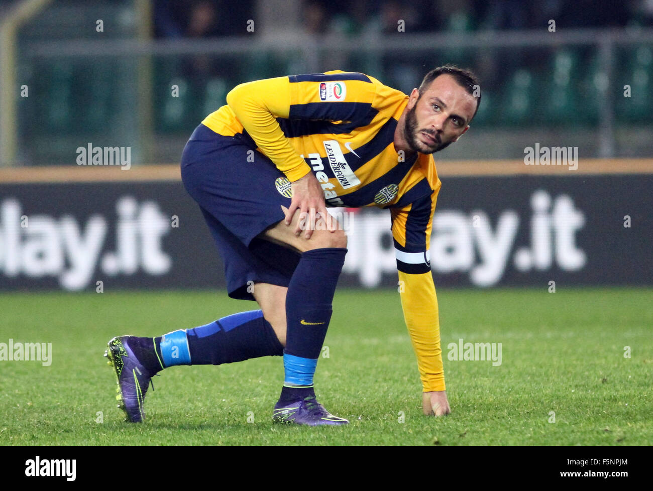 Pazzini Celebration Fifa 14