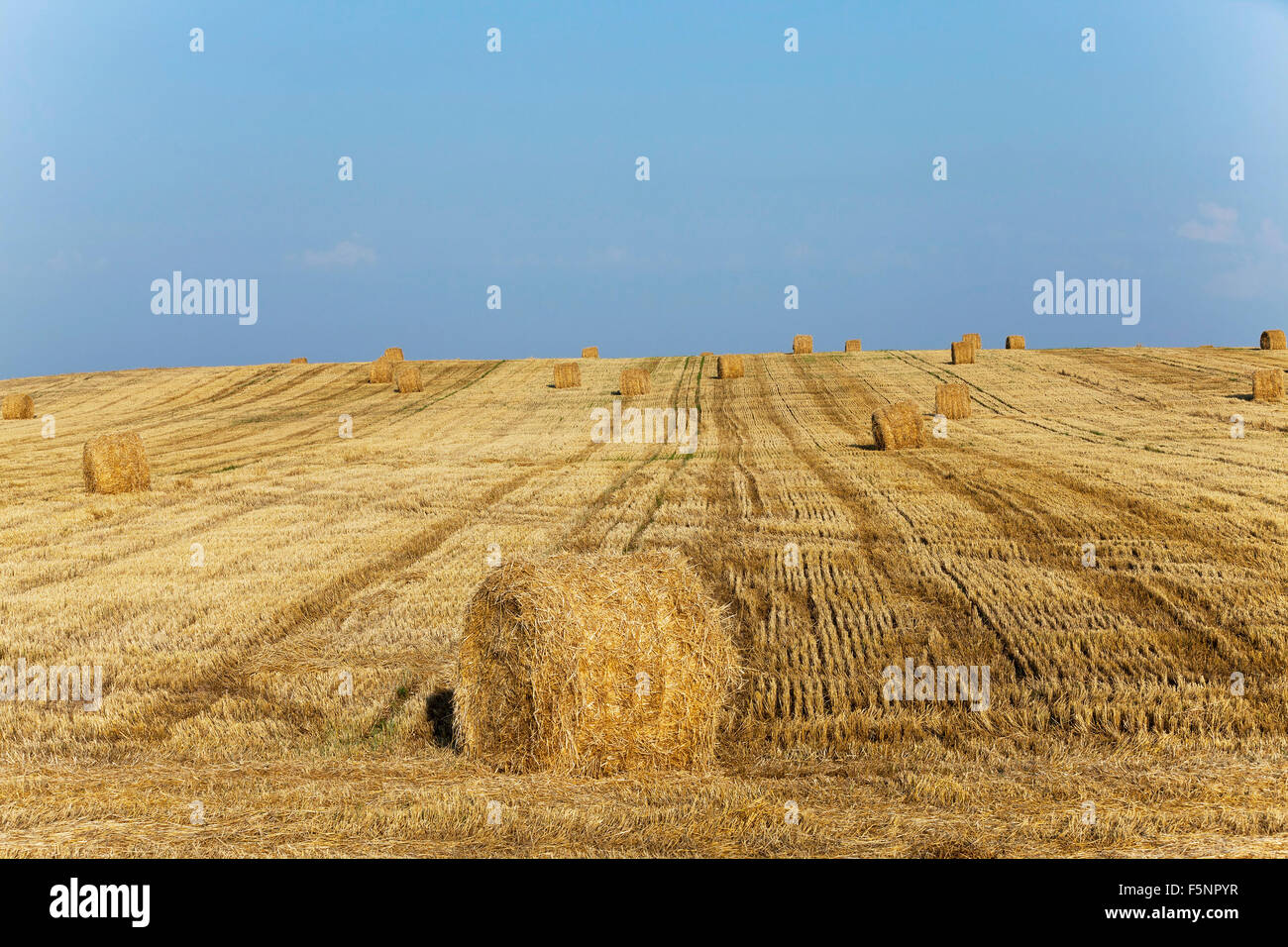 haystacks straw . summer Stock Photo - Alamy