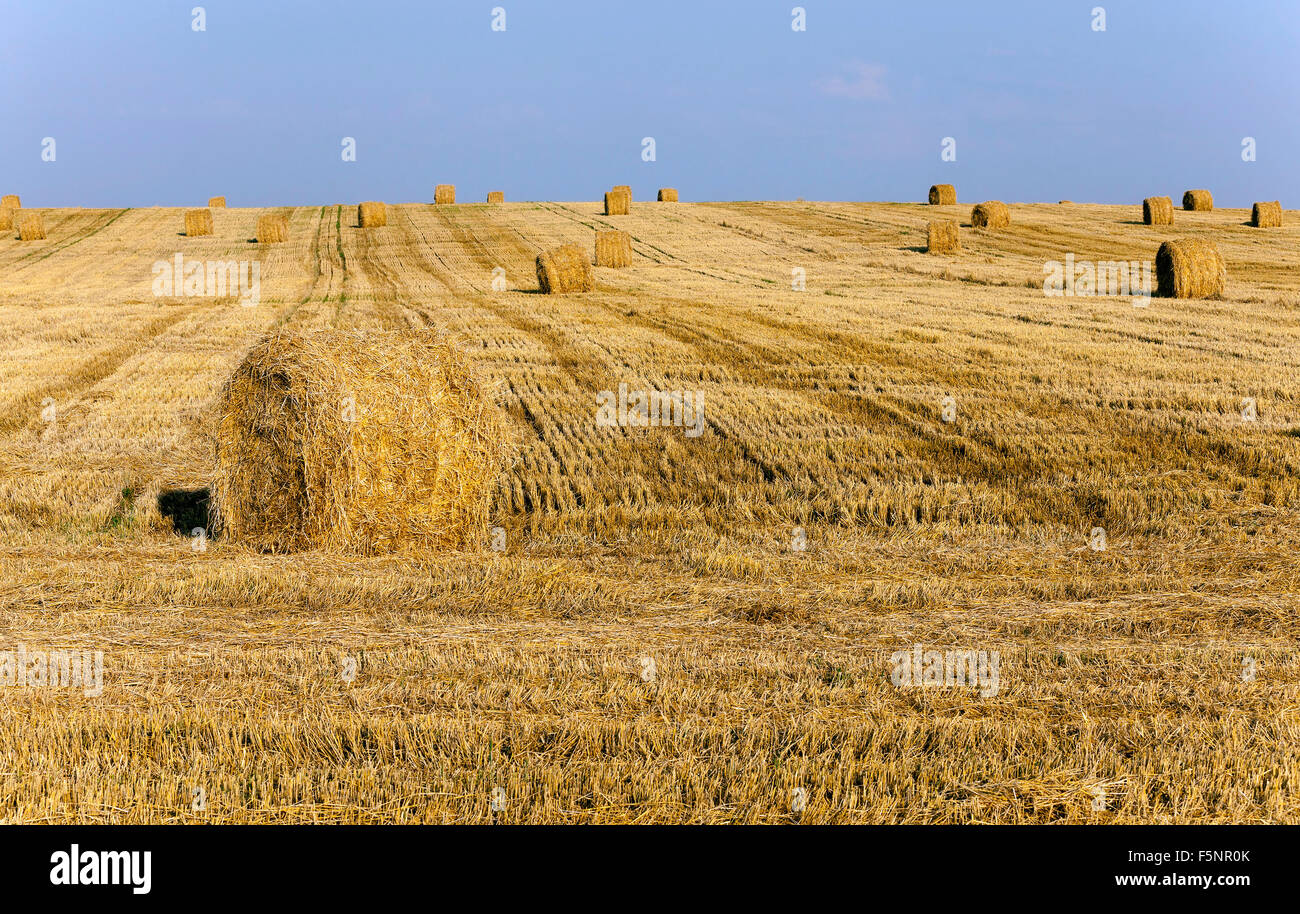 stack of straw Stock Photo - Alamy