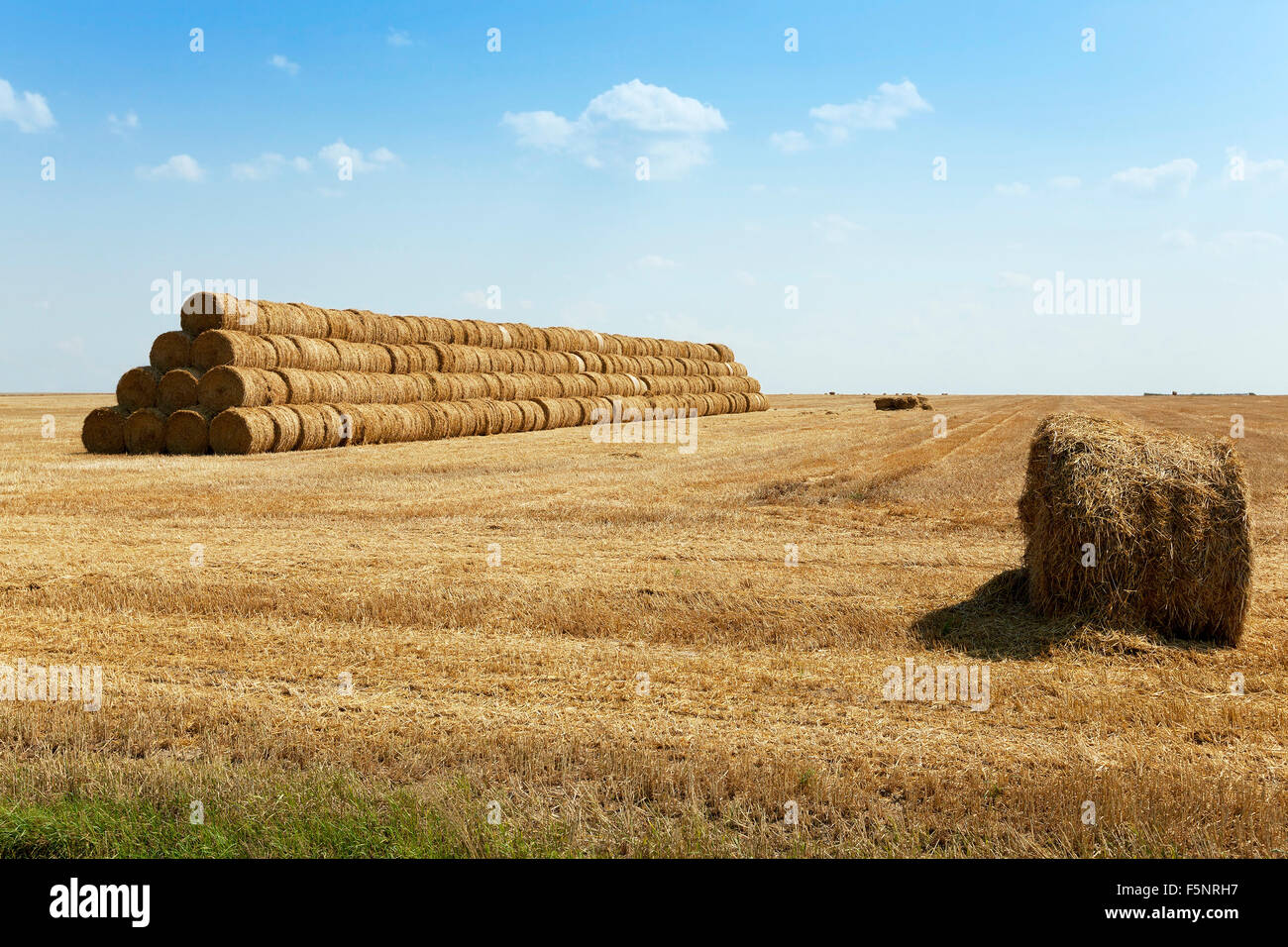 Stack of straw . summer Stock Photo - Alamy
