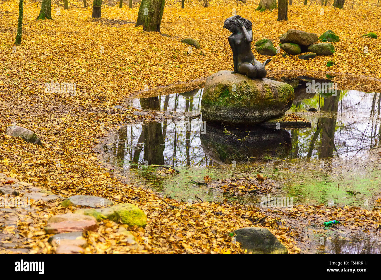 Mermaid pond hi-res stock photography and images - Alamy