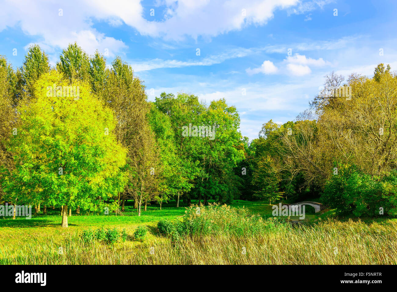 Landscape with Colorful Trees and Small Bridge over Pond Stock Photo ...