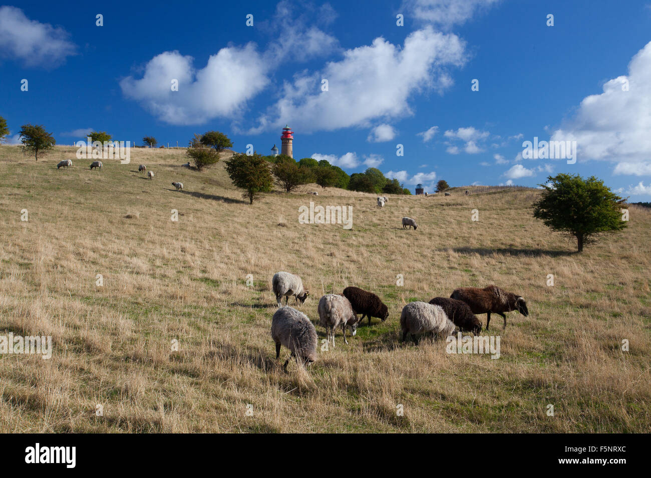 Historic ancient pasture hi-res stock photography and images - Alamy