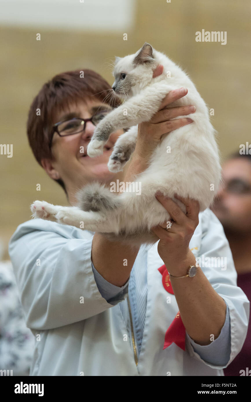 Tamworth, Staffordshire. 07th Nov, 2015. Saturday 7th November 2015 The ...