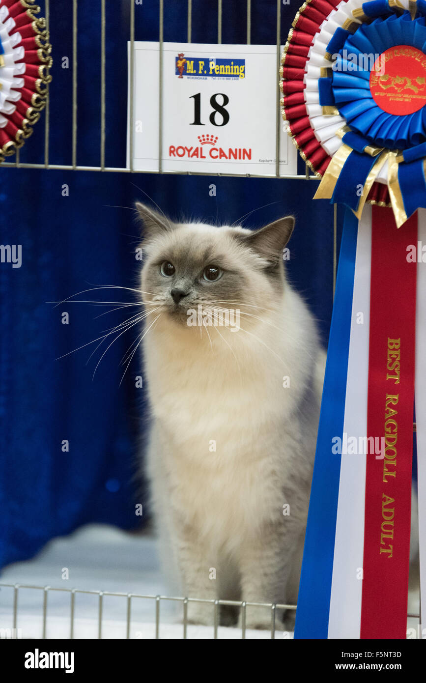 Tamworth, Staffordshire. 07th Nov, 2015. Saturday 7th November 2015 ...