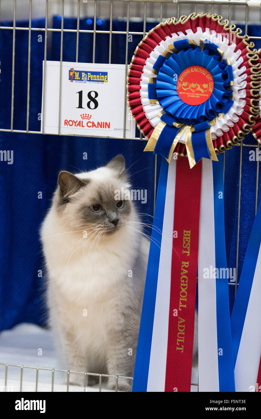 Tamworth, Staffordshire. 07th Nov, 2015. Saturday 7th November 2015 ...