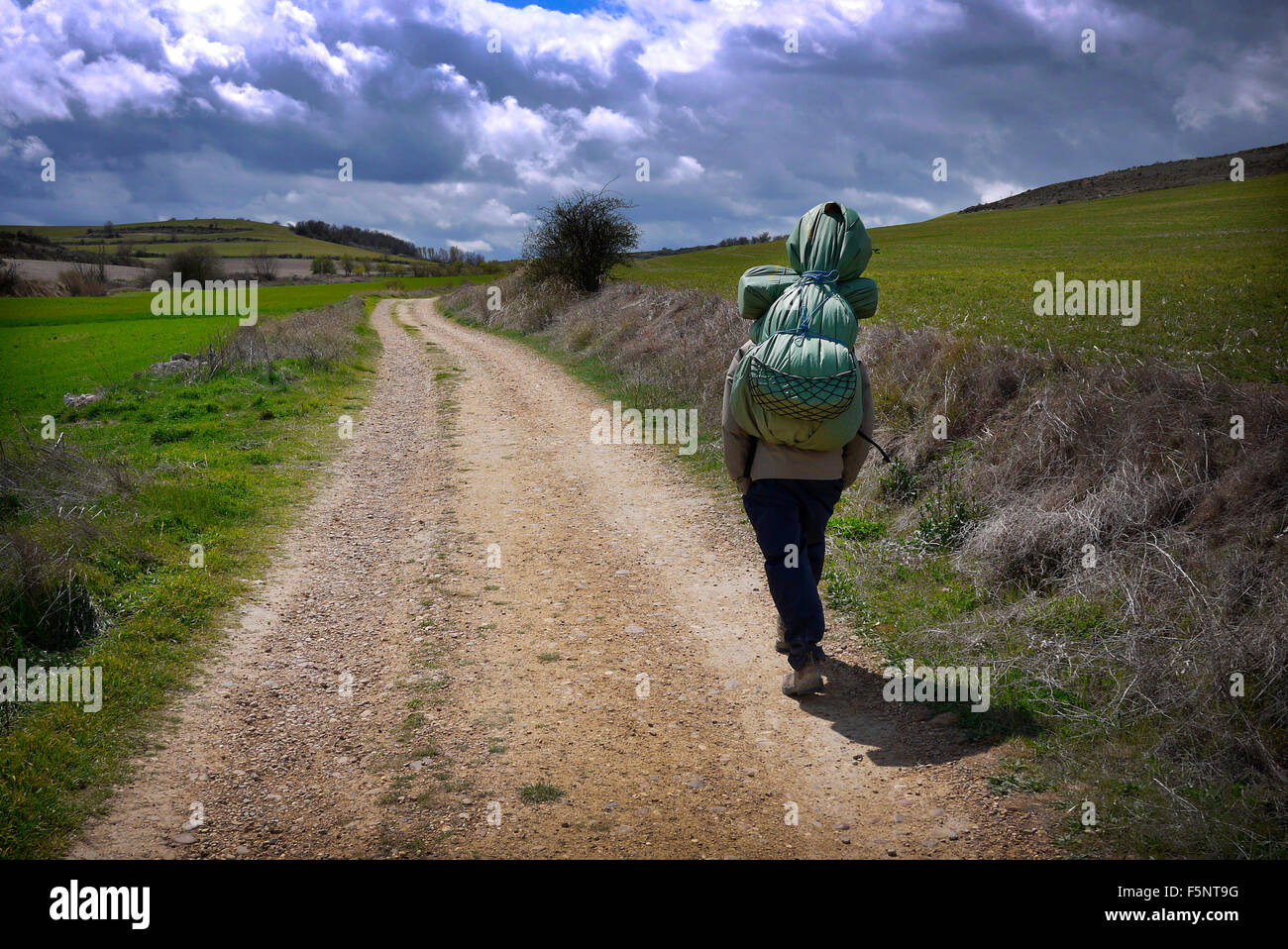 A pilgrim walking the camino to Santiago de Compostella Stock Photo - Alamy