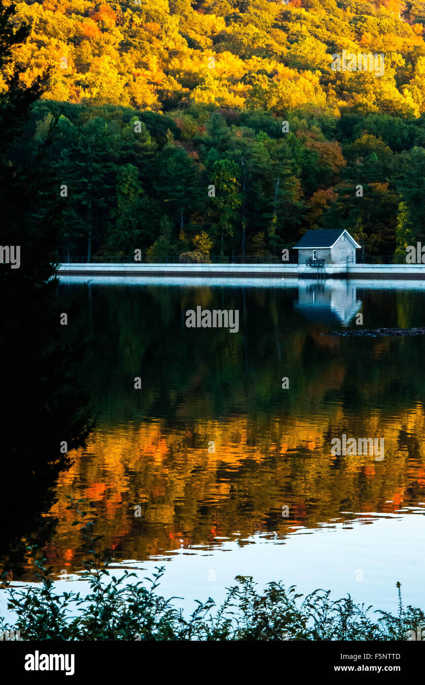 cabin, reflection,water,fall ,colors, nature, scenic, sky, foliage ...