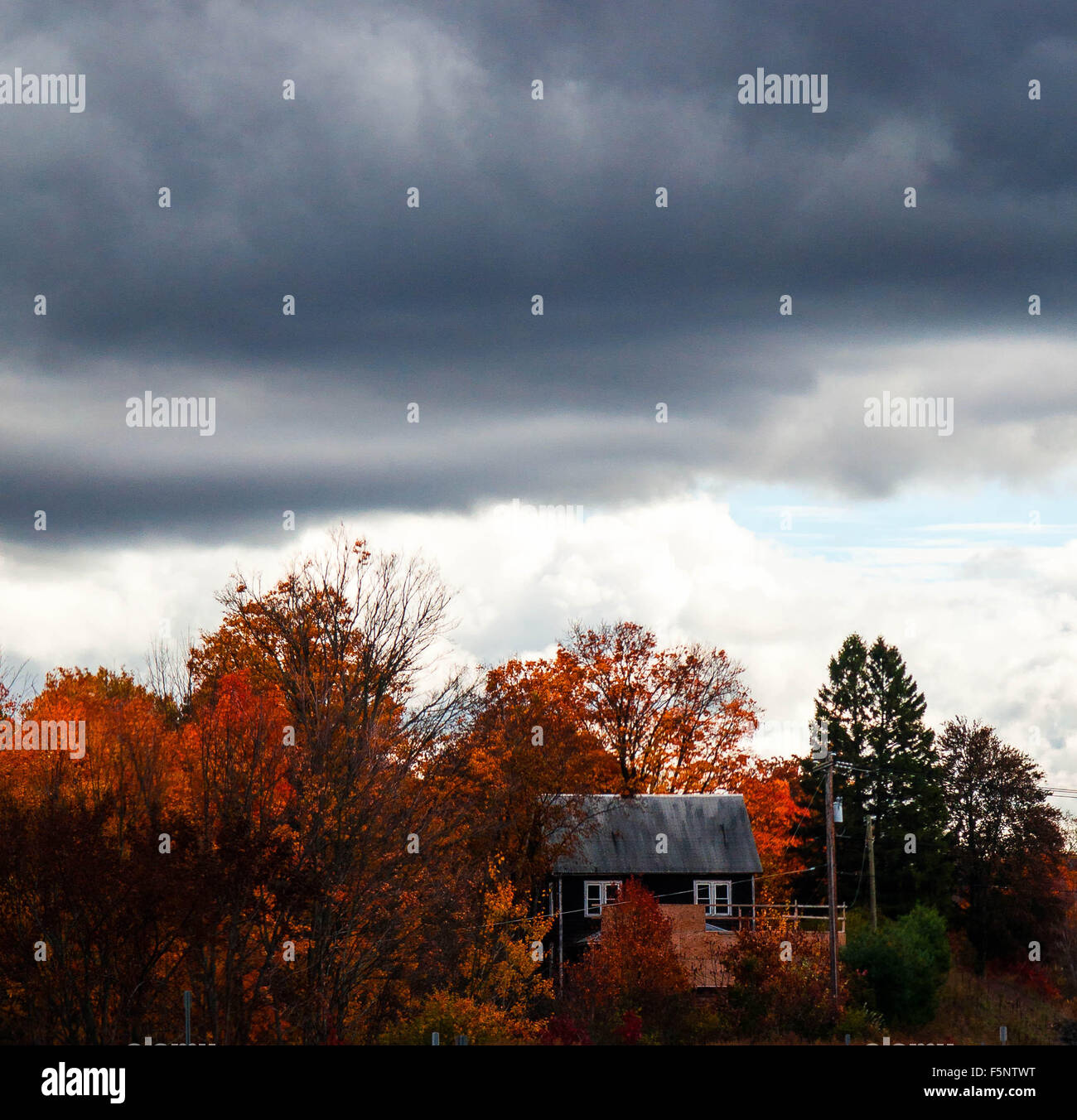 fall ,colors, nature, scenic, sky, foliage, dramatic, perspective,old ...