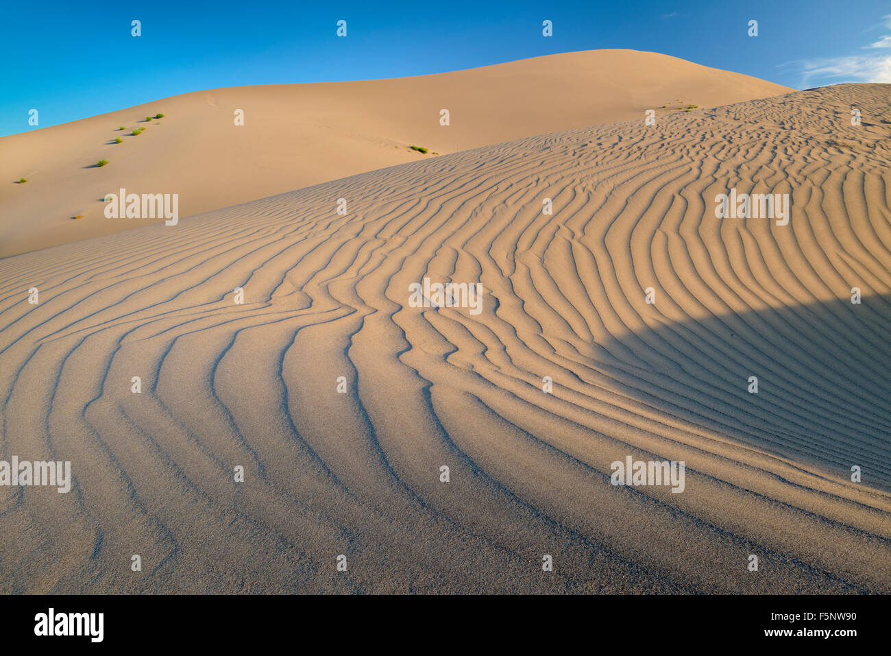 Characteristic ripples in the sand dune Stock Photo - Alamy