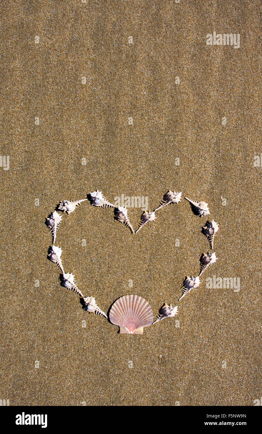 Shells laid out in a heart shape on the beach. Copy space above and ...