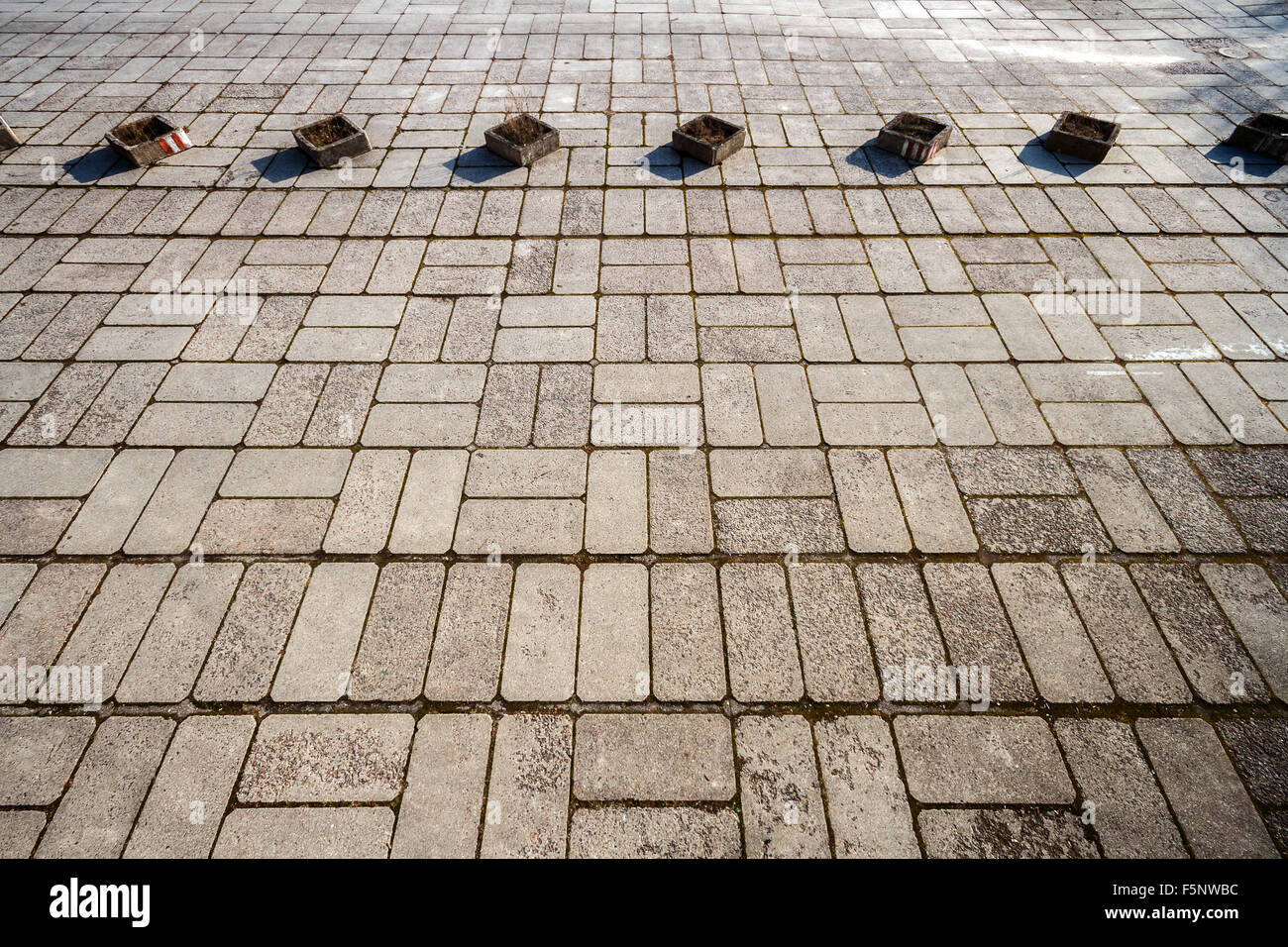 Old concrete blocks in the pitch Stock Photo - Alamy