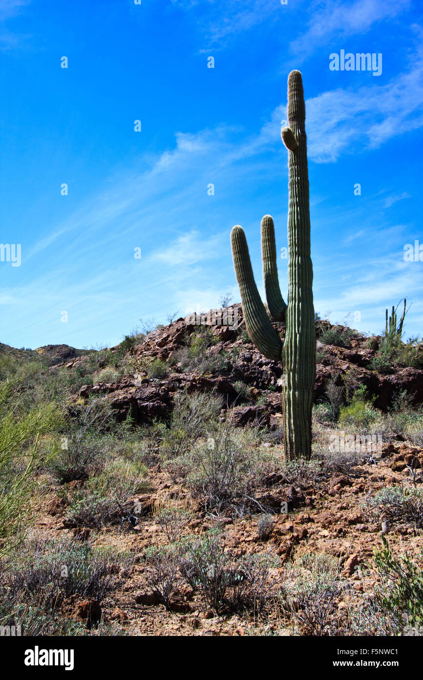 Multiple arm hi-res stock photography and images - Alamy