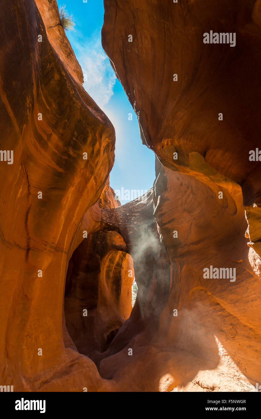 Rays of Sun light falling down Peekaboo Stock Photo - Alamy