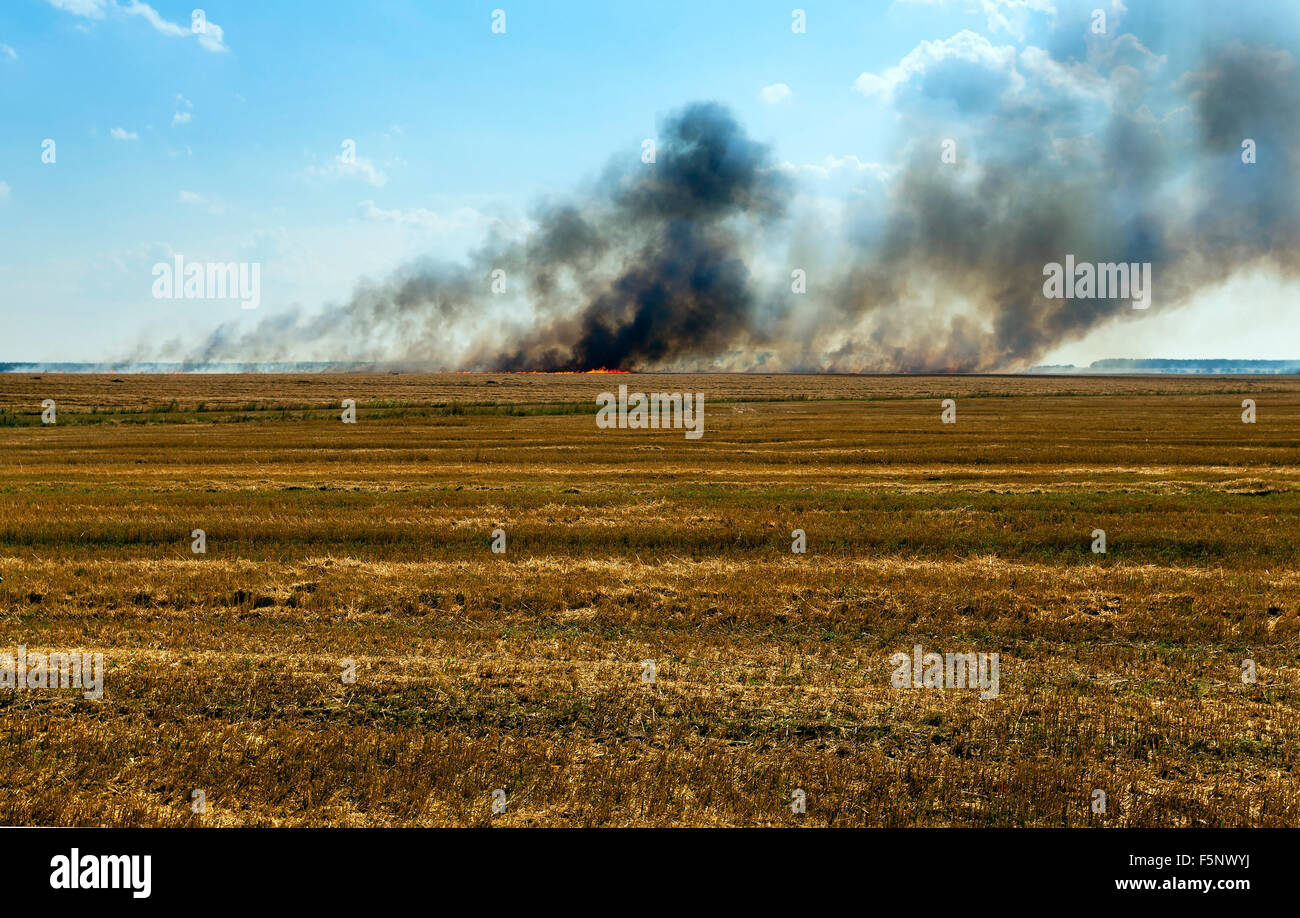 fire on the field Stock Photo - Alamy