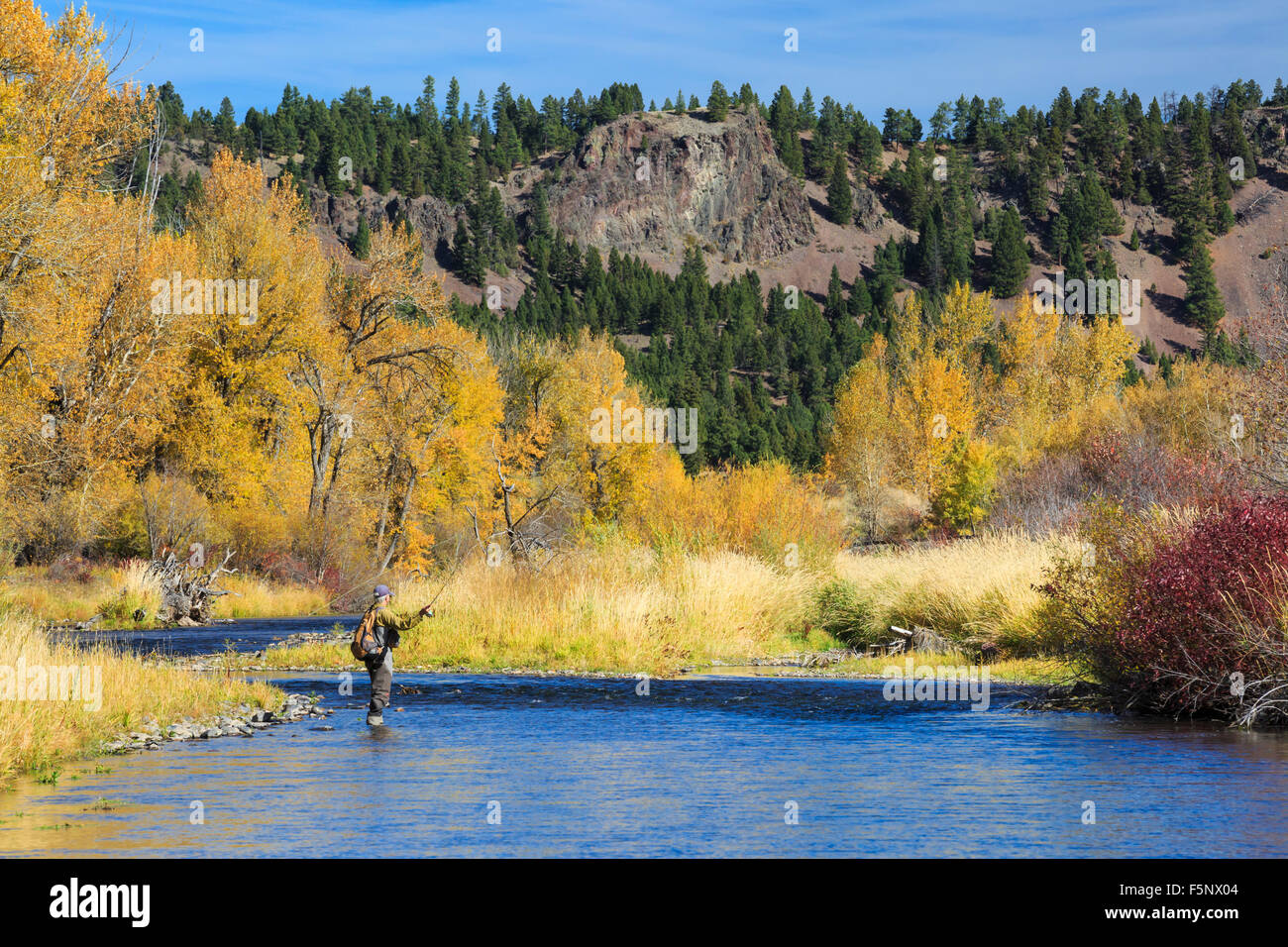 fisherman and fall colors along the little blackfoot river near avon ...