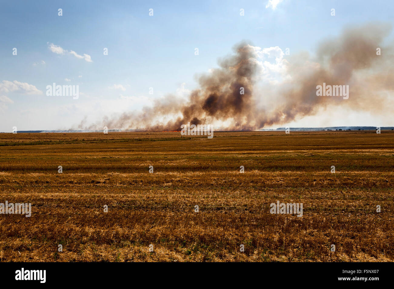 Burning corn field hi-res stock photography and images - Alamy