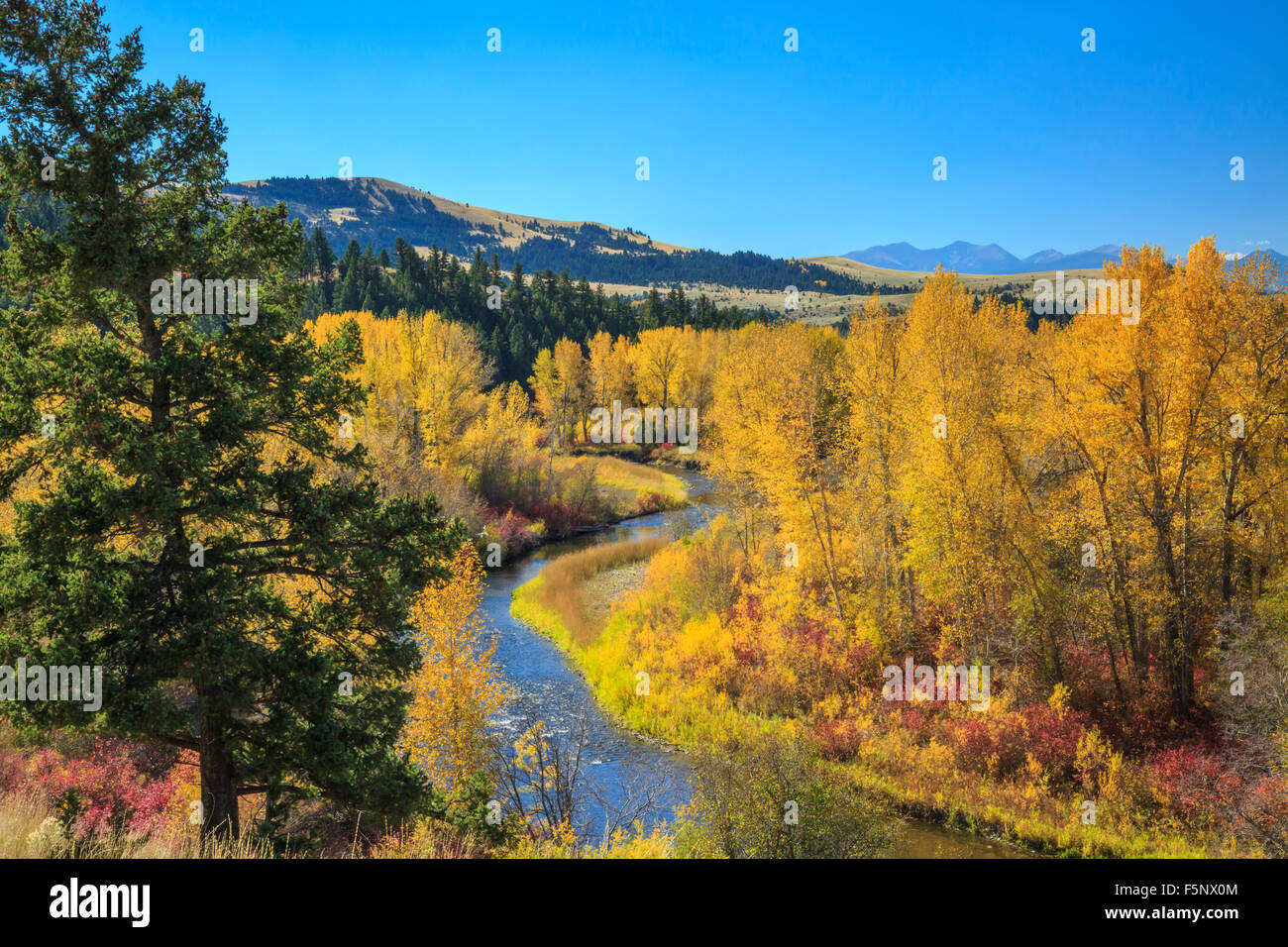 Flint river basin hi-res stock photography and images - Alamy