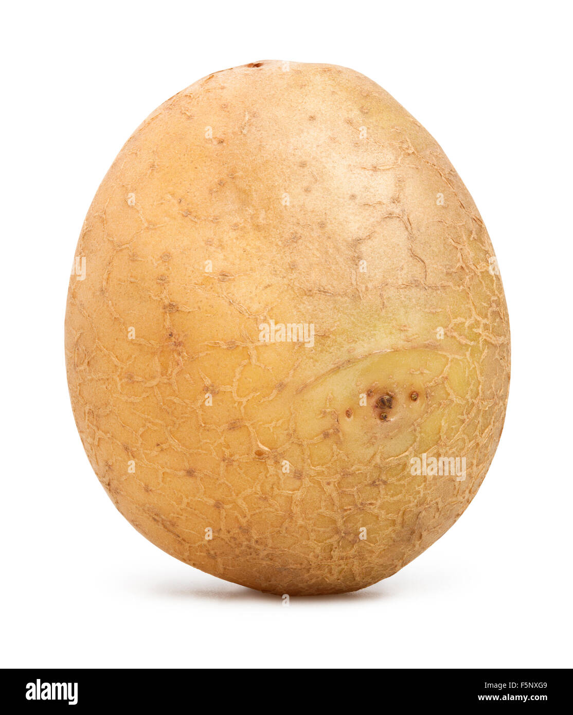 White potato isolated hi-res stock photography and images - Alamy