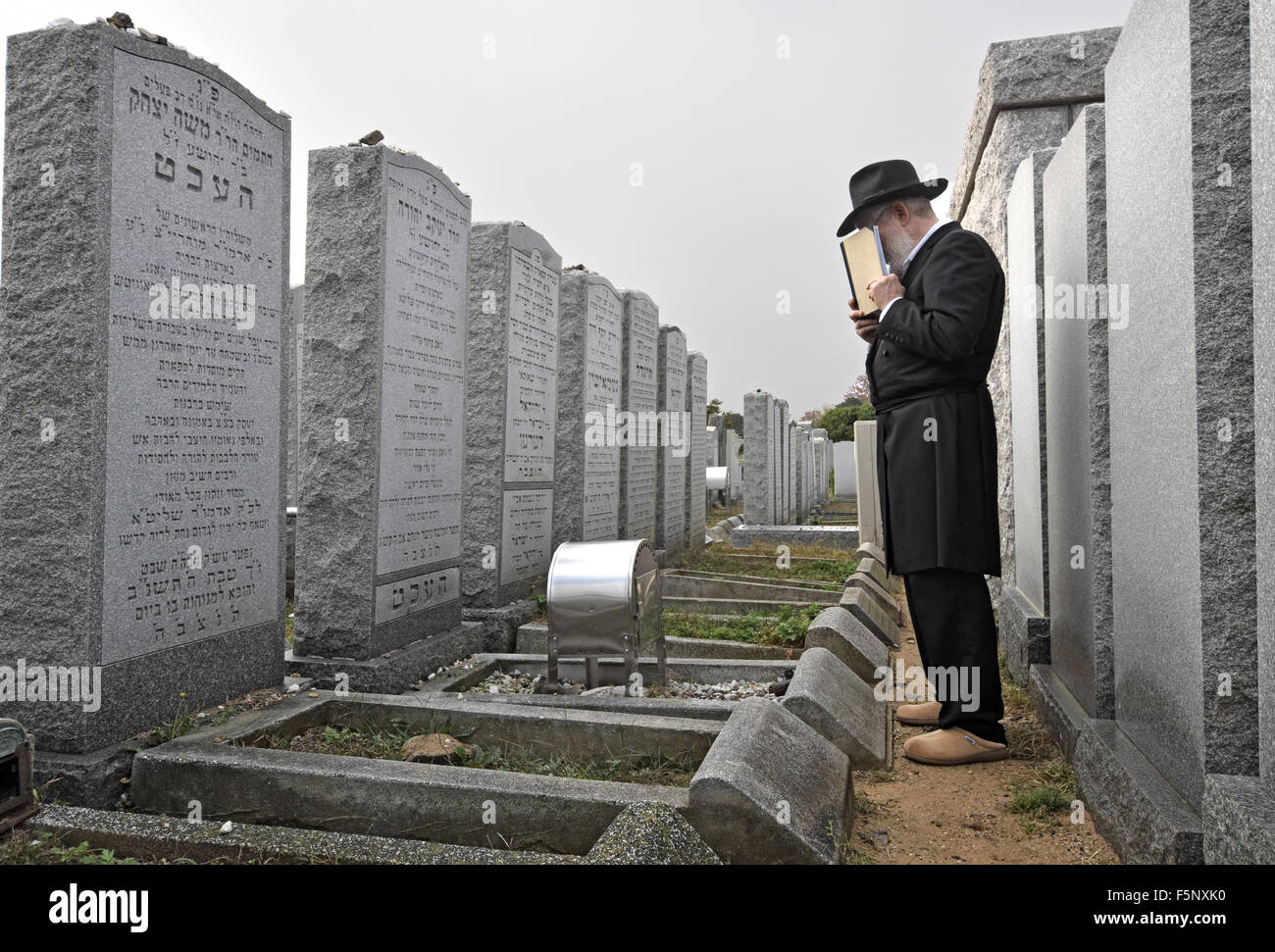 Montefiore cemetery hi-res stock photography and images - Alamy