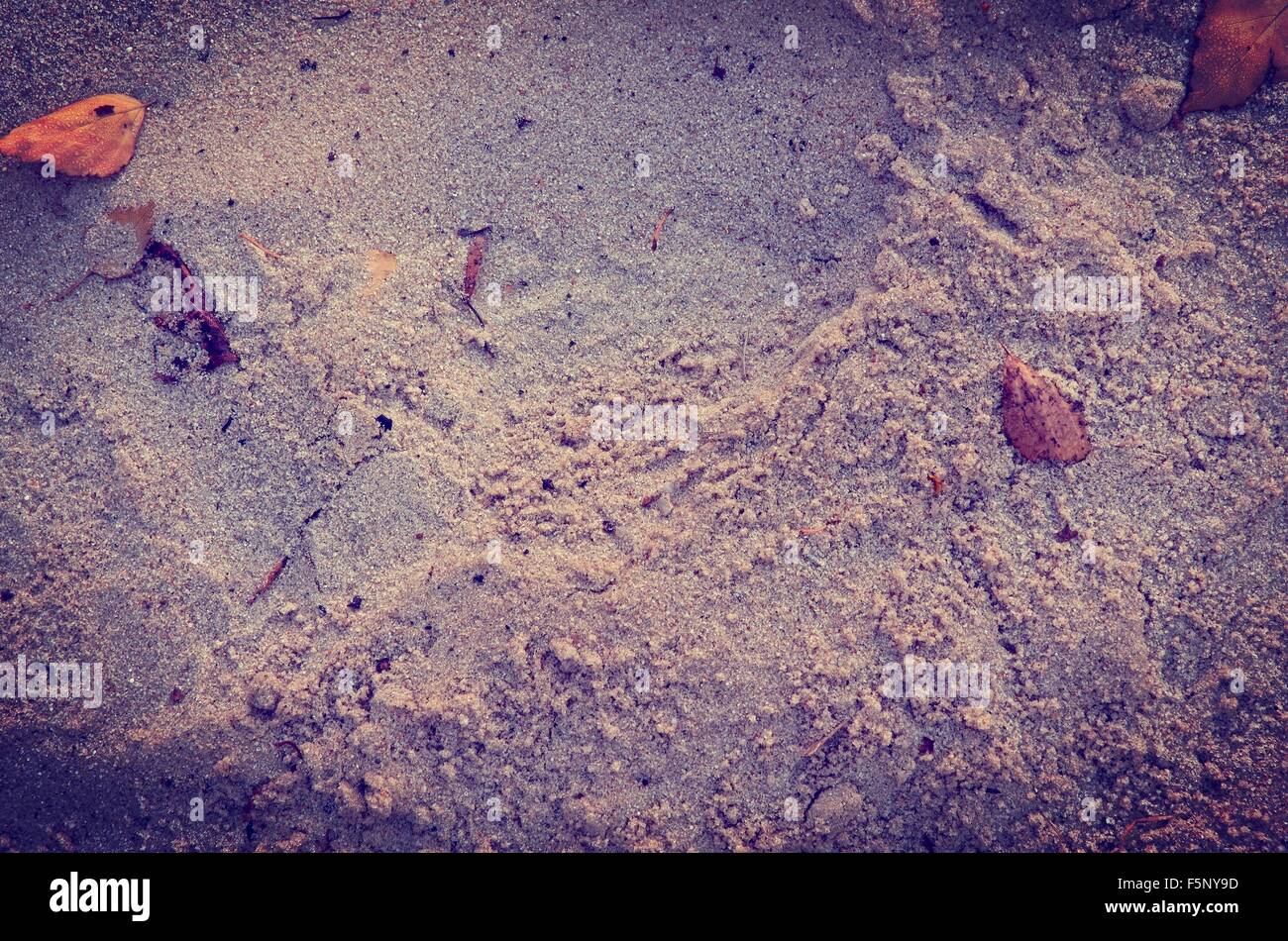 Vintage sand texture hi-res stock photography and images - Alamy