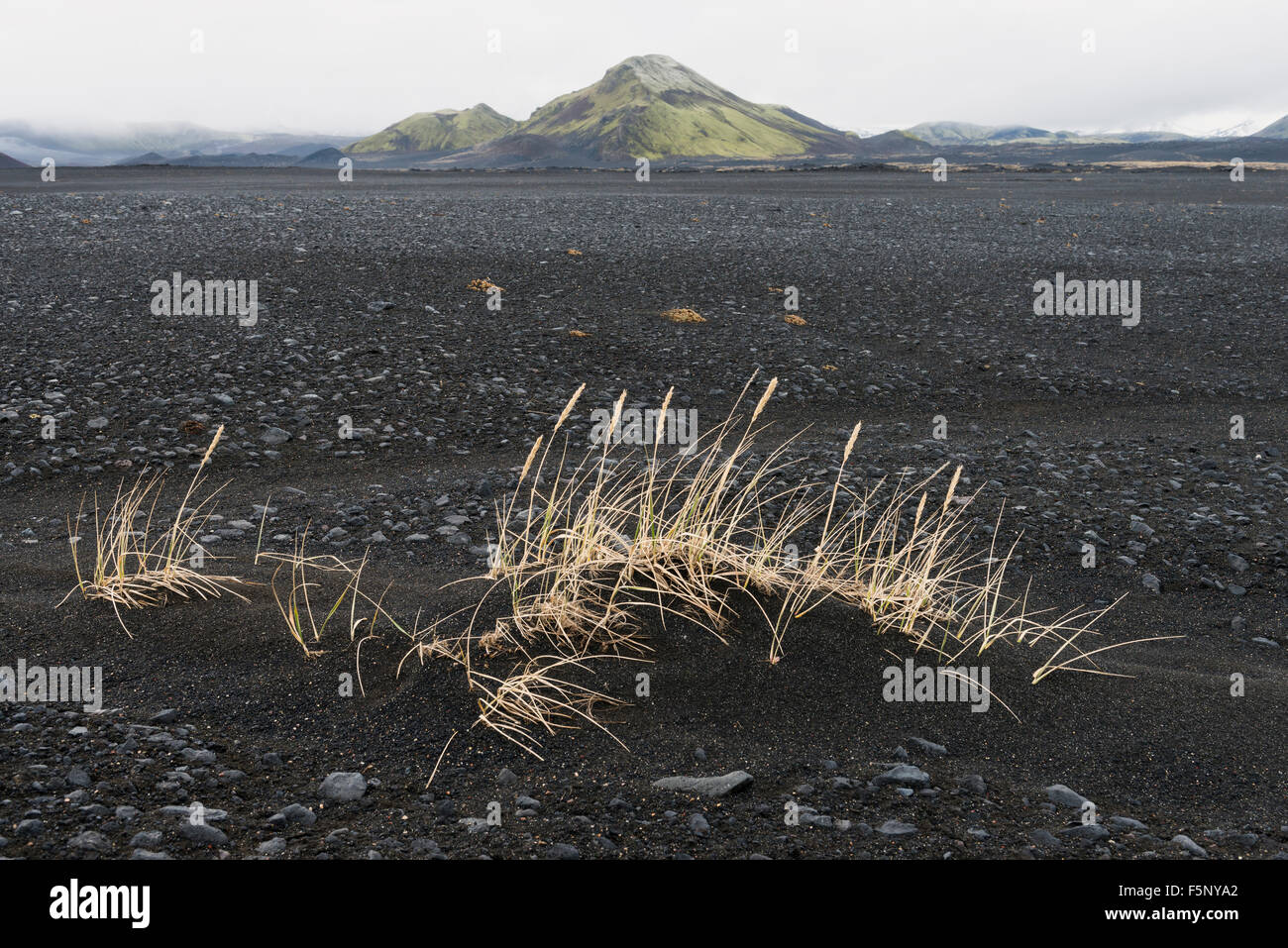 Volcanic landscape, Iceland Stock Photo - Alamy
