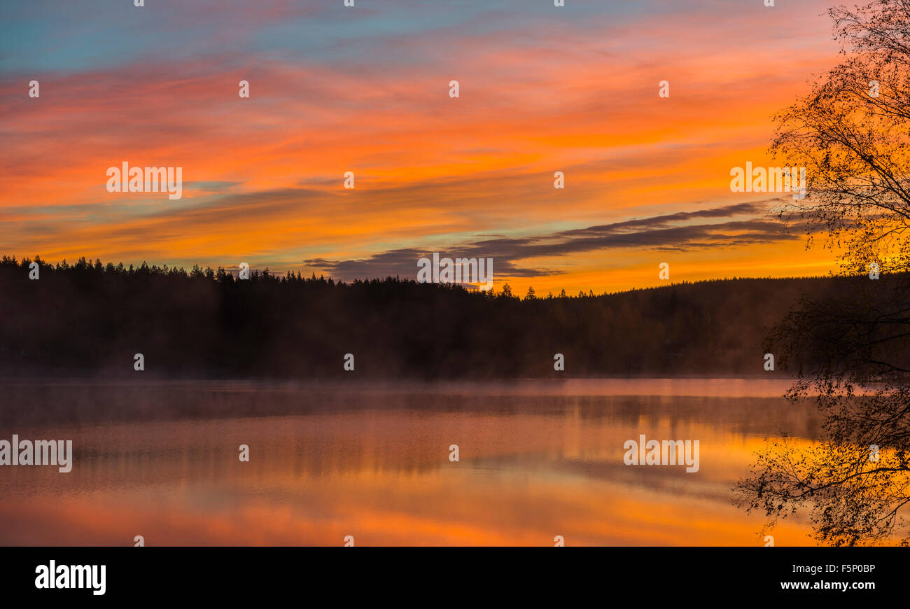 Orange dawn over forest hi-res stock photography and images - Alamy