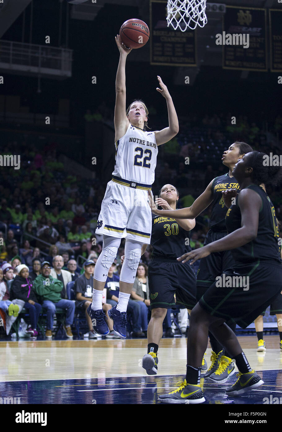 Wayne state warriors hi-res stock photography and images - Alamy