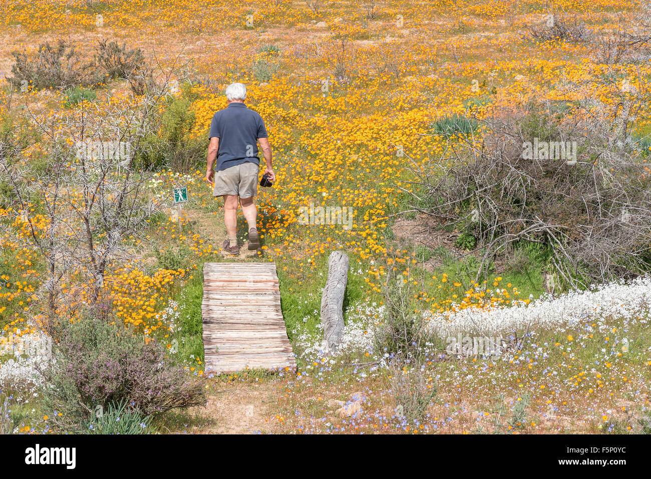 SKILPAD, SOUTH AFRICA - AUGUST 18, 2015: Start of the Korhaan Trail at ...