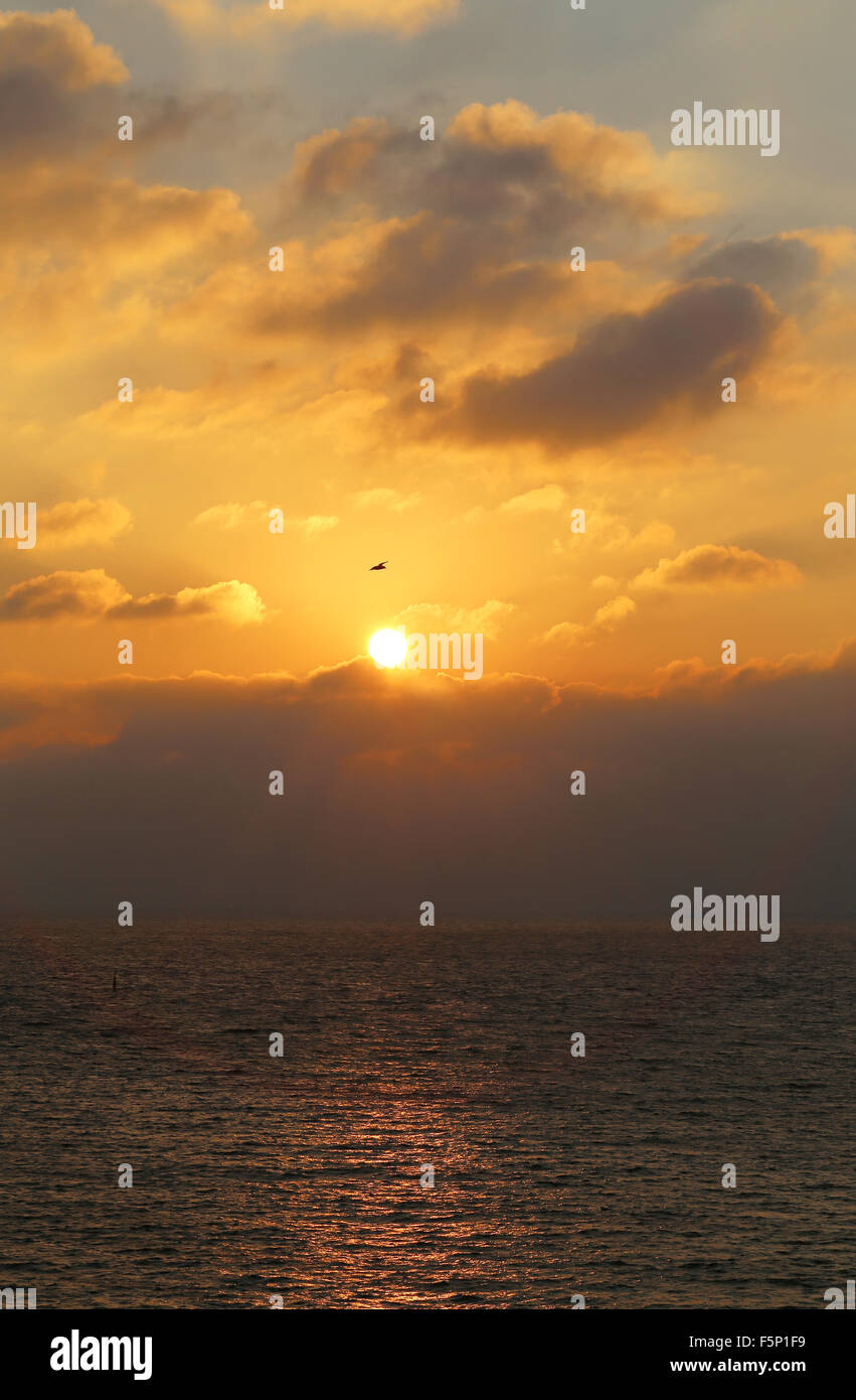 Beautiful sunset and sky is photographed close up Stock Photo - Alamy