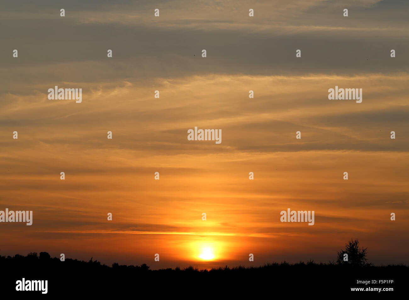 Beautiful sunset and sky is photographed close up Stock Photo - Alamy