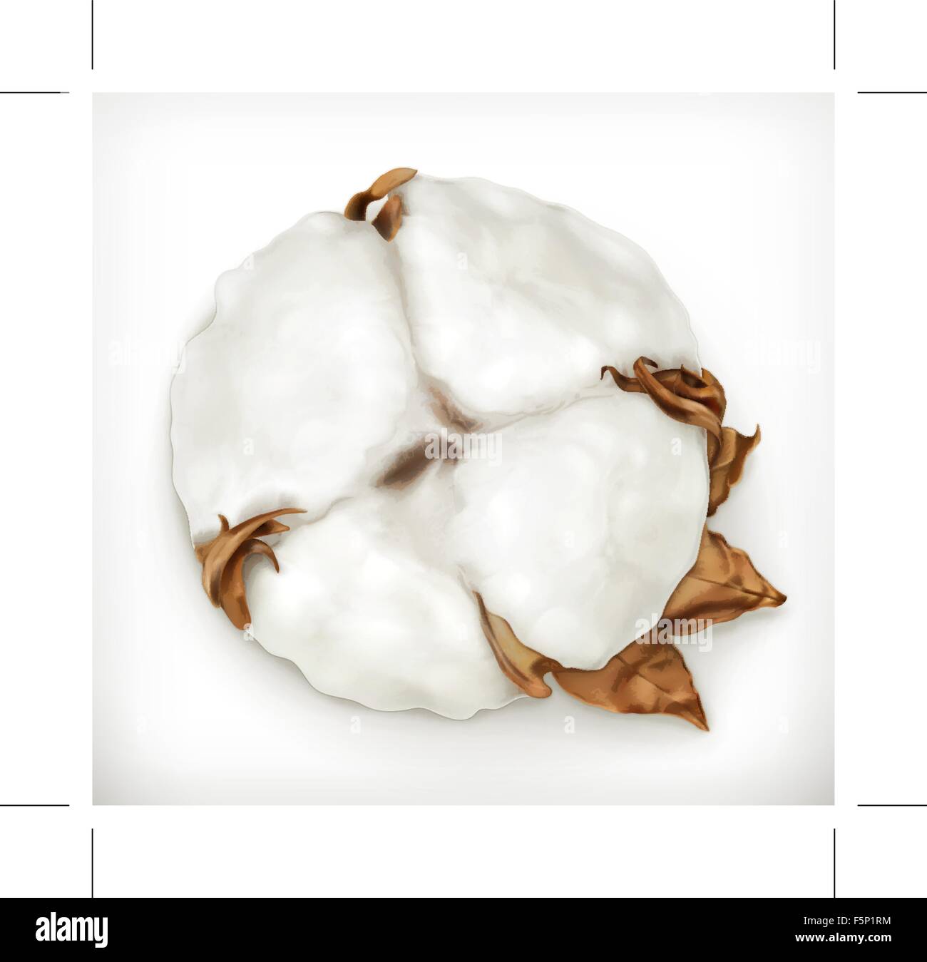 Cotton crop Stock Vector Images - Alamy