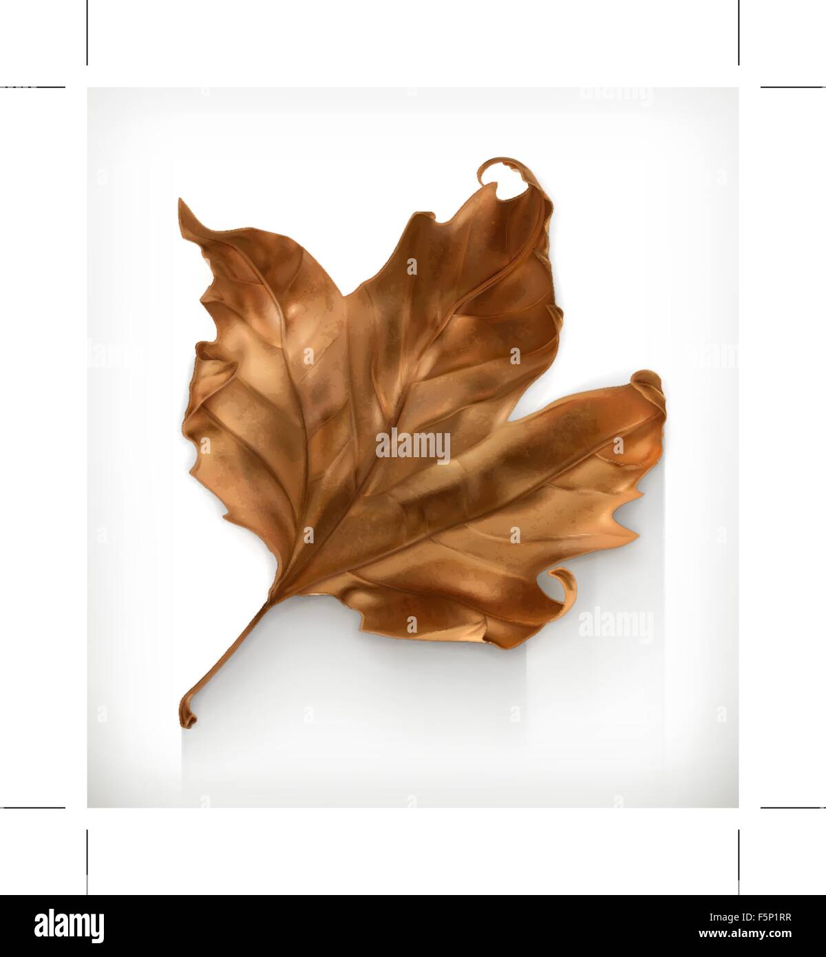 Dry leaf texture natural Stock Vector Images - Alamy