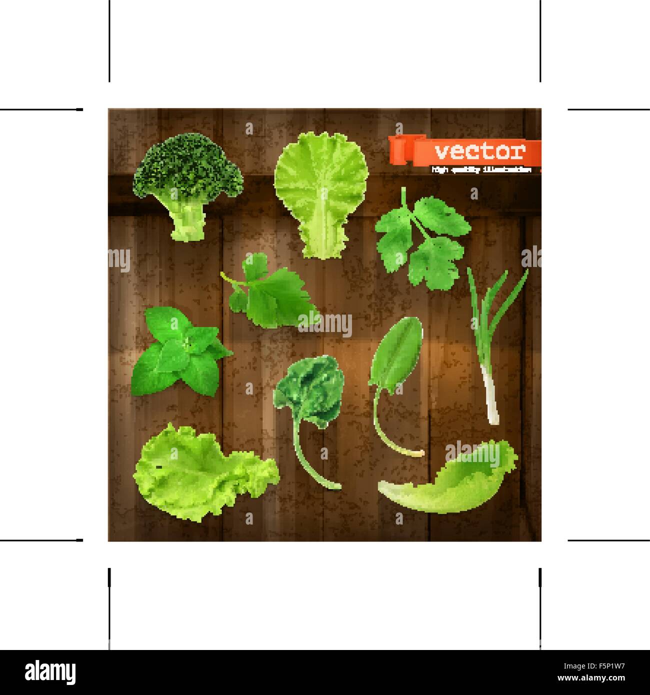 Mint realistic design set Stock Vector Images - Alamy