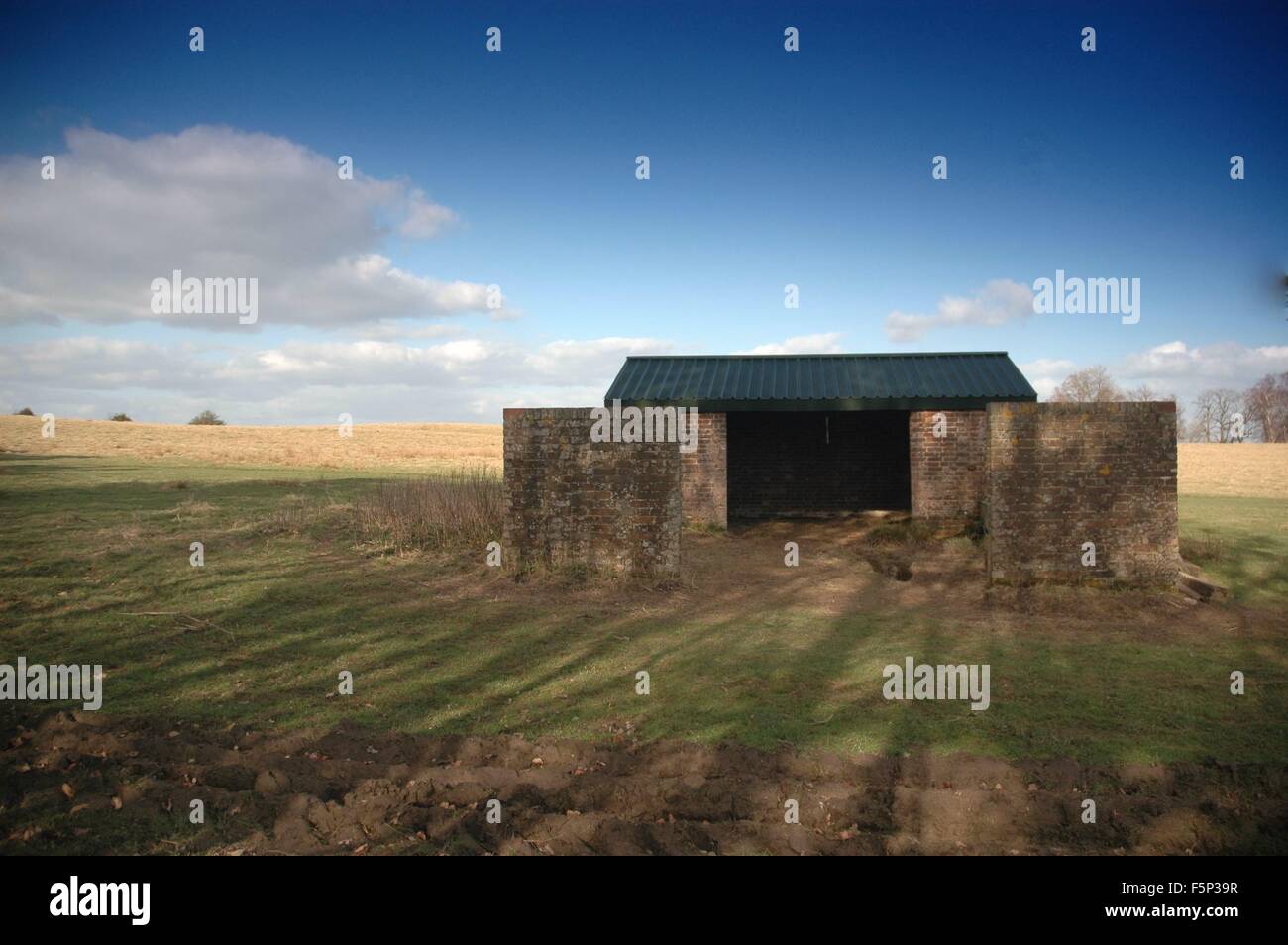 Barn in afternoon light, with shadows of trees in late winter Stock ...