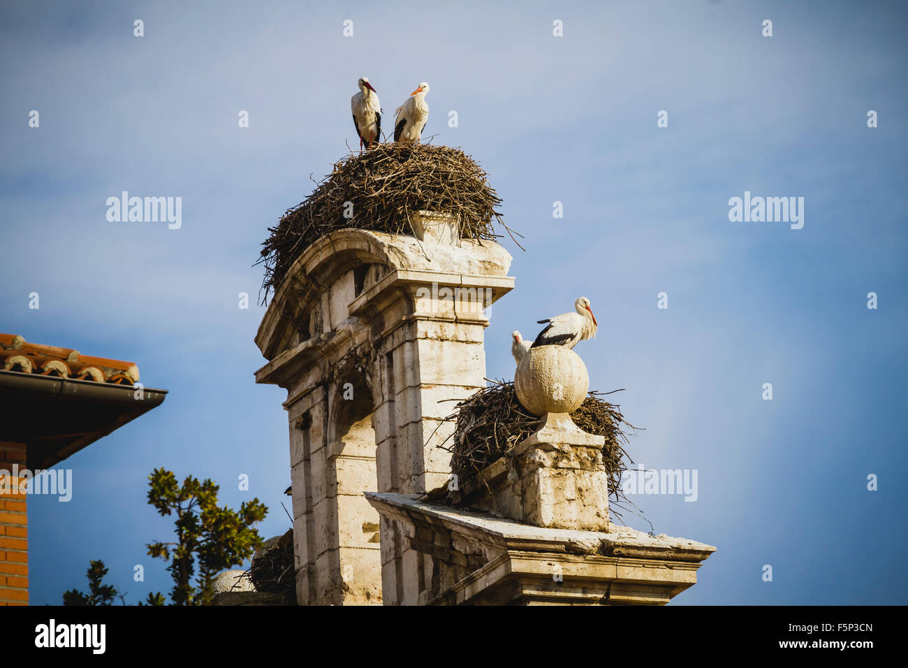 storks nest, Spanish town of Alcala de Henares, palaces and ancient ...