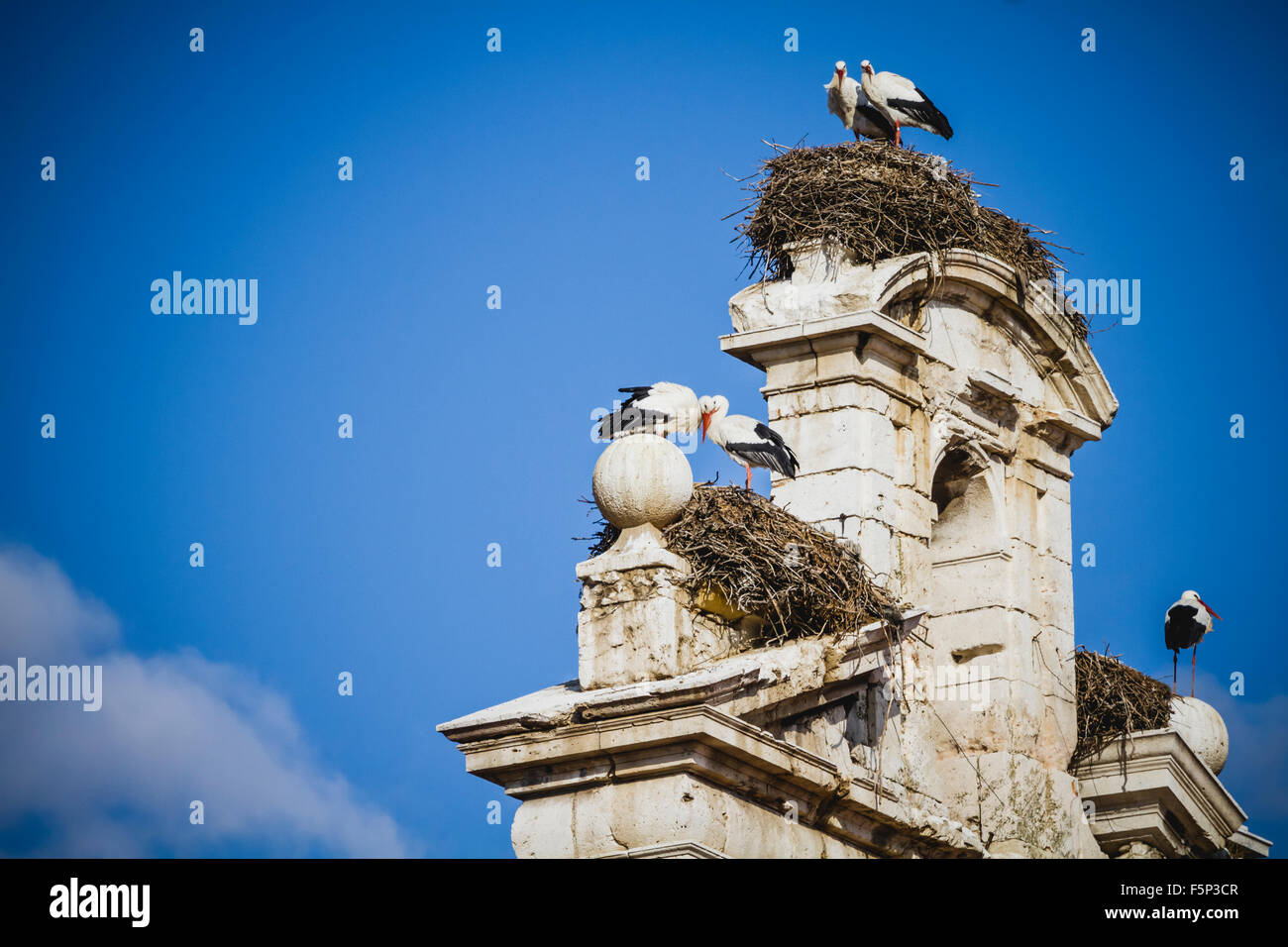 storks nest, Spanish town of Alcala de Henares, palaces and ancient ...