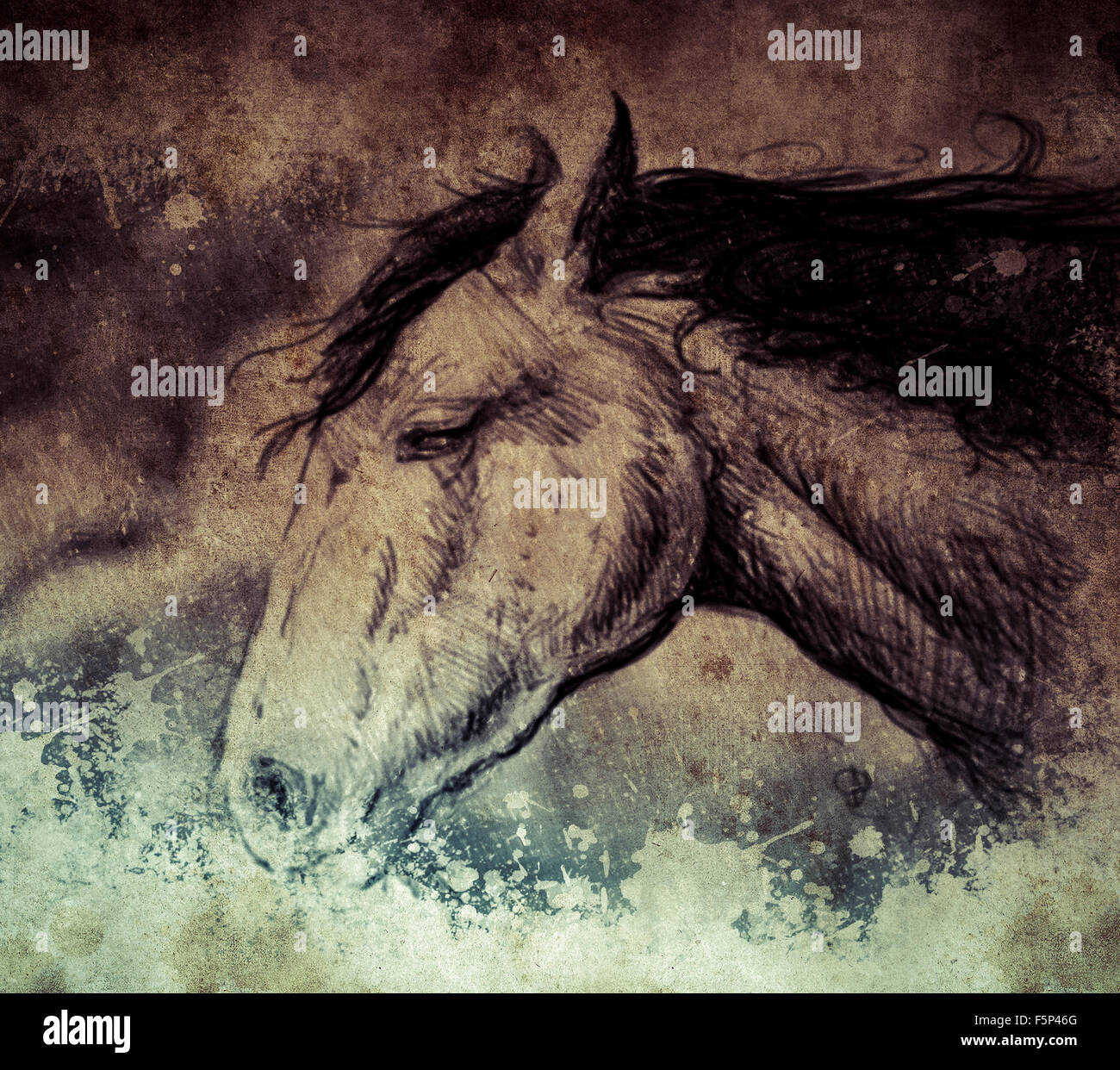 Sketch made with digital tablet, horse head Stock Photo - Alamy