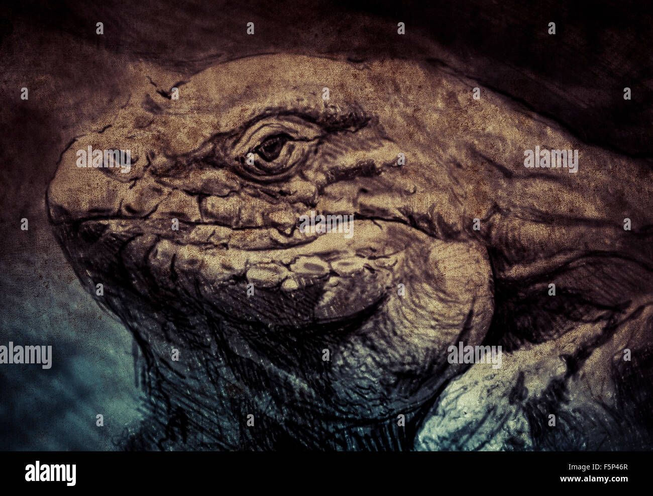 Illustration made with digital tablet, lizard in sepia on vintage paper ...