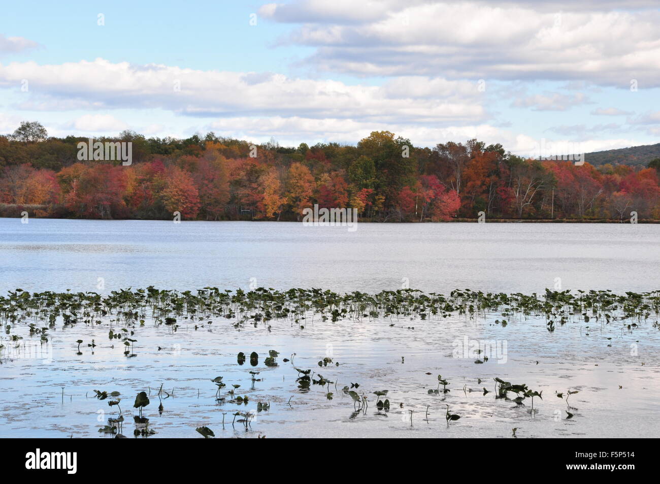 Hillside lake hi-res stock photography and images - Alamy