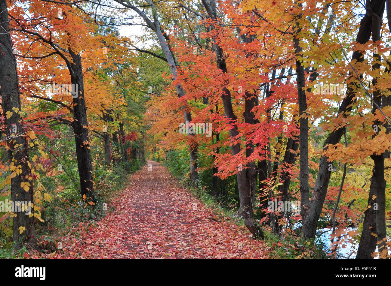 Raritan canal new jersey hi-res stock photography and images - Alamy