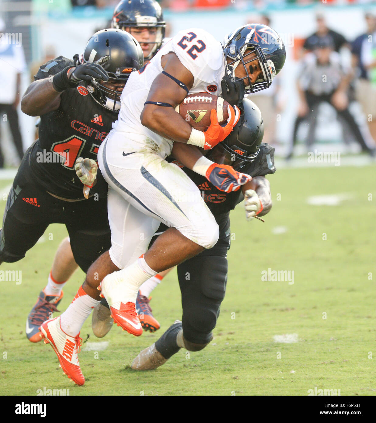 Lowers gardens hi-res stock photography and images - Alamy