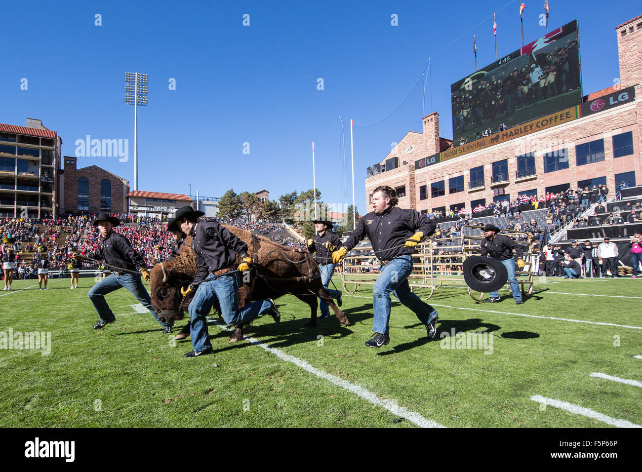 Ralphie boulder hi-res stock photography and images - Alamy