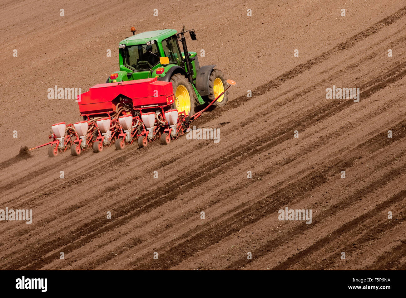 Scattering Seeds Stock Photos & Scattering Seeds Stock Images - Alamy
