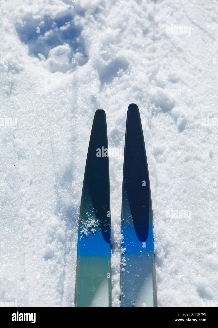 Cross Country Ski Closeup and Snow Stock Photo - Alamy