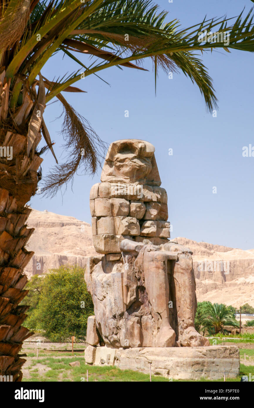 Colossus of Memnon, Egypt with palm tree in forground Stock Photo - Alamy